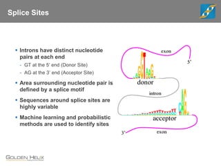 Evaluating Splice Site Variants in VarSeq | PDF