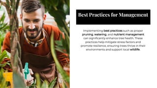 Evaluating-tree-health-techniques-and-best-practices-for-sustainable ...