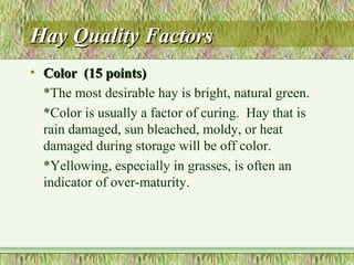 Evaluating Hay Quality | PPT