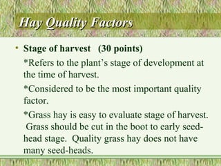 Evaluating Hay Quality