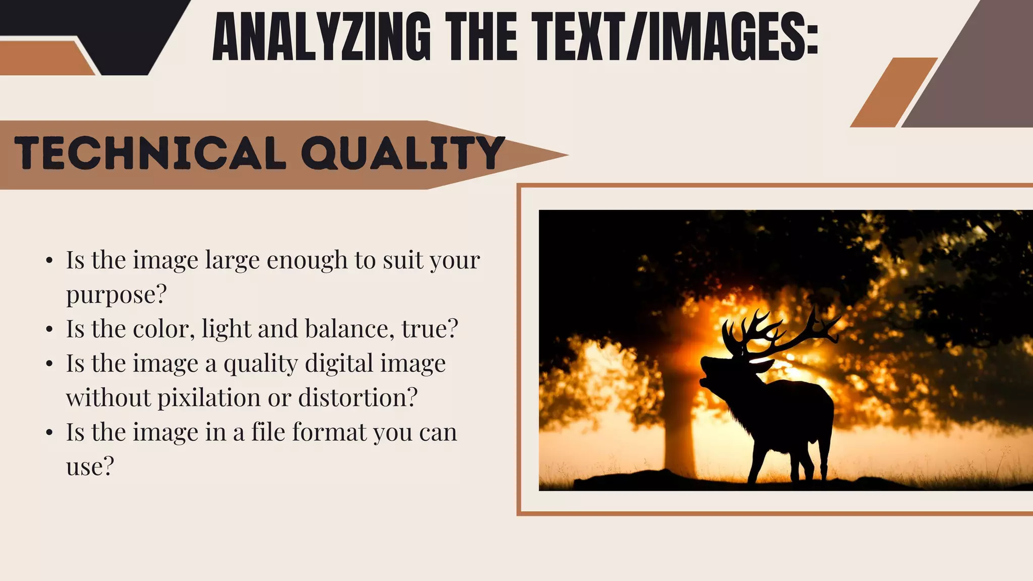 Evaluating messages and images.pptx