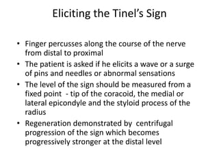 Evaluating nerve injury and regeneration | PPTX