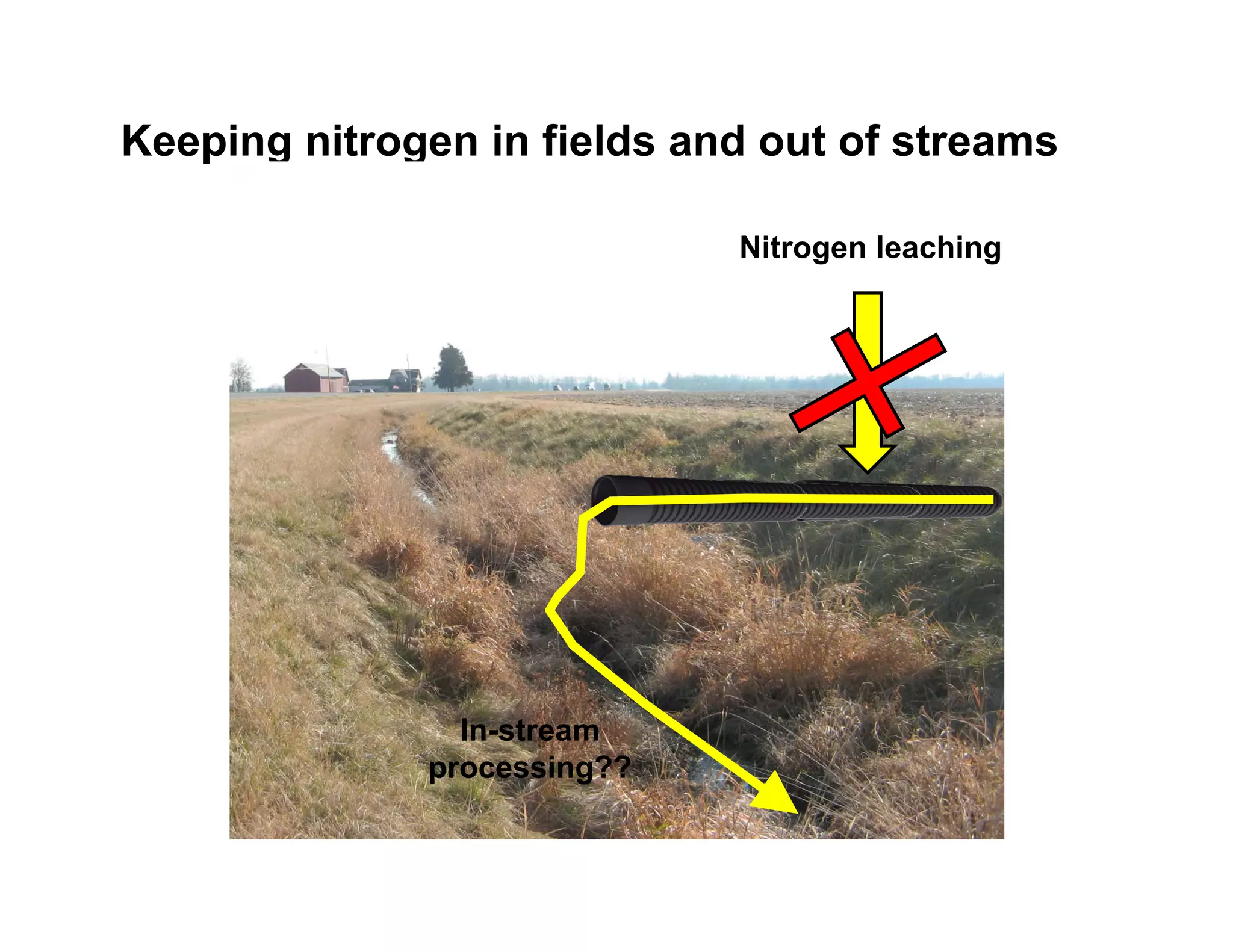 Evaluating nitrogen export | PDF | Gardening | Home & Garden