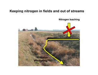 Evaluating nitrogen export | PDF | Gardening | Home & Garden