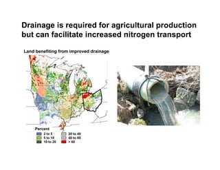 Evaluating nitrogen export | PDF | Gardening | Home & Garden