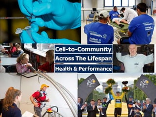 Evaluating physical activity levels and key performance indicators in ...