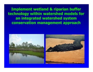 Evaluating wetland impacts on nutrient loads | PPT