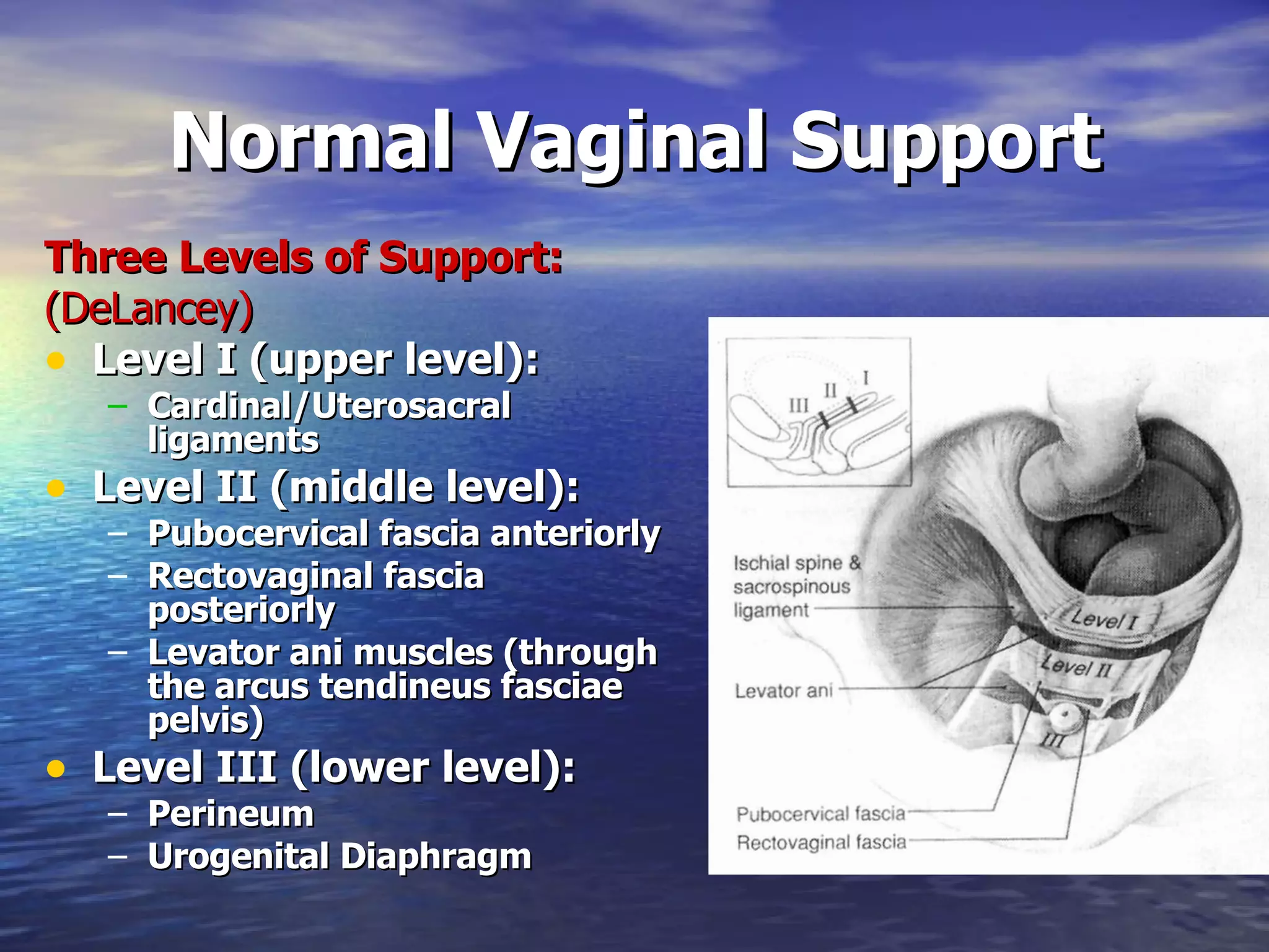 Evaluation Management of Genital Prolapse - www.jinekolojivegebelik.com
