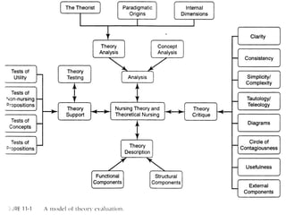 Complexity Theory In Nursing