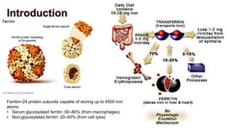 Evaluation of Hyperferritinemia in Diabetic Patients | PPT