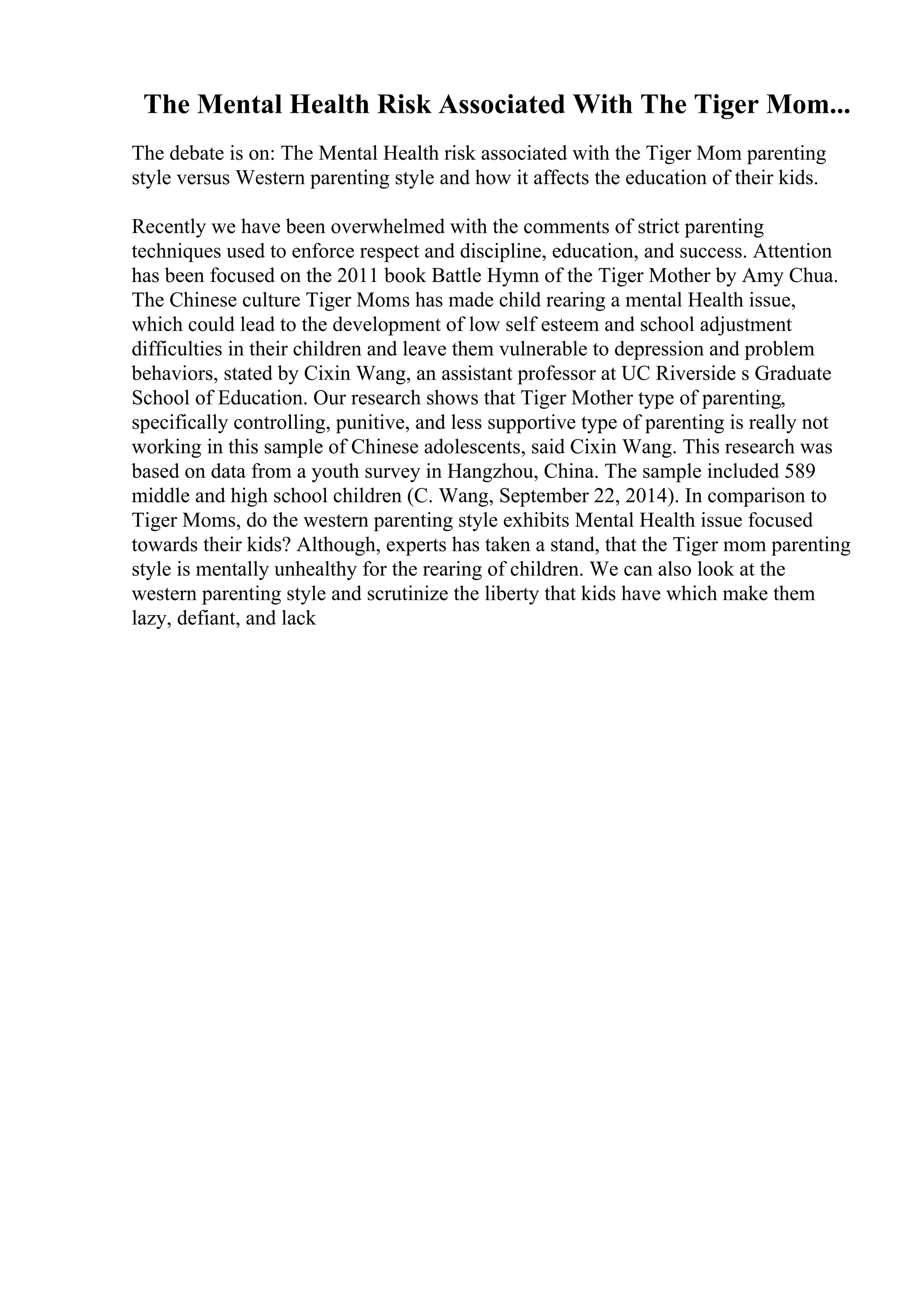 Evaluation Essay Example | PDF