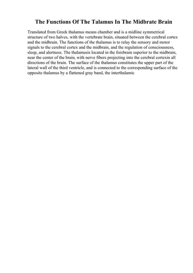 Evaluation Essay Example | PDF