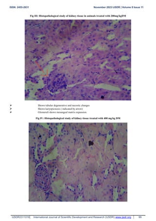 EVALUATION FOR NEPHROPROTECTIVE.pdf