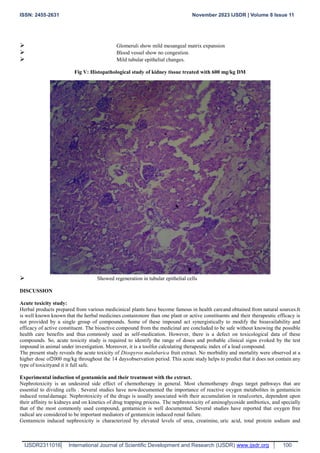 EVALUATION FOR NEPHROPROTECTIVE.pdf