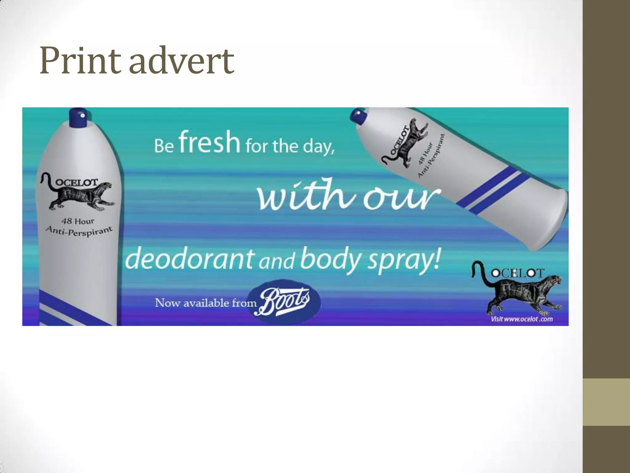 Evaluation for the entire advertisement project | PPTX