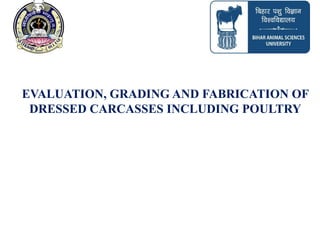 EVALUATION, GRADING AND FABRICATION OF DRESSED CARCASSES INCLUDING ...
