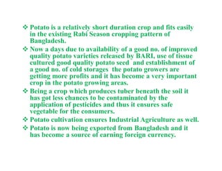 Field Evaluation of Five BARI Potato Varieties | PDF