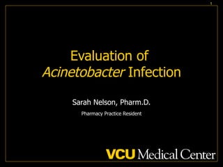 Evaluation Of Acinetobacter Infection, Eastern States Presentation | PPT