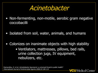 Evaluation Of Acinetobacter Infection, Eastern States Presentation | PPT