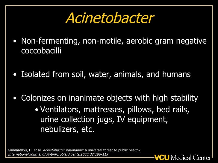 Evaluation Of Acinetobacter Infection, Eastern States Presentation