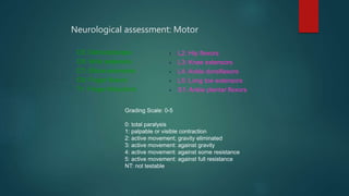 Evaluation of acute trauma in spine | PPTX