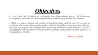 Evaluation of allelopathic activity of parthenium on narrow leaf weeds | PPT