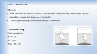 Evaluation of antidepressants.pptx