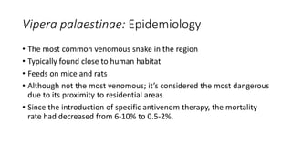 Evaluation of Antivenom Therapy for Vipera palaestinae Bites in ...
