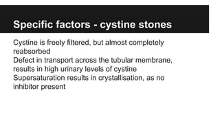 Evaluation of a stone former | PPTX