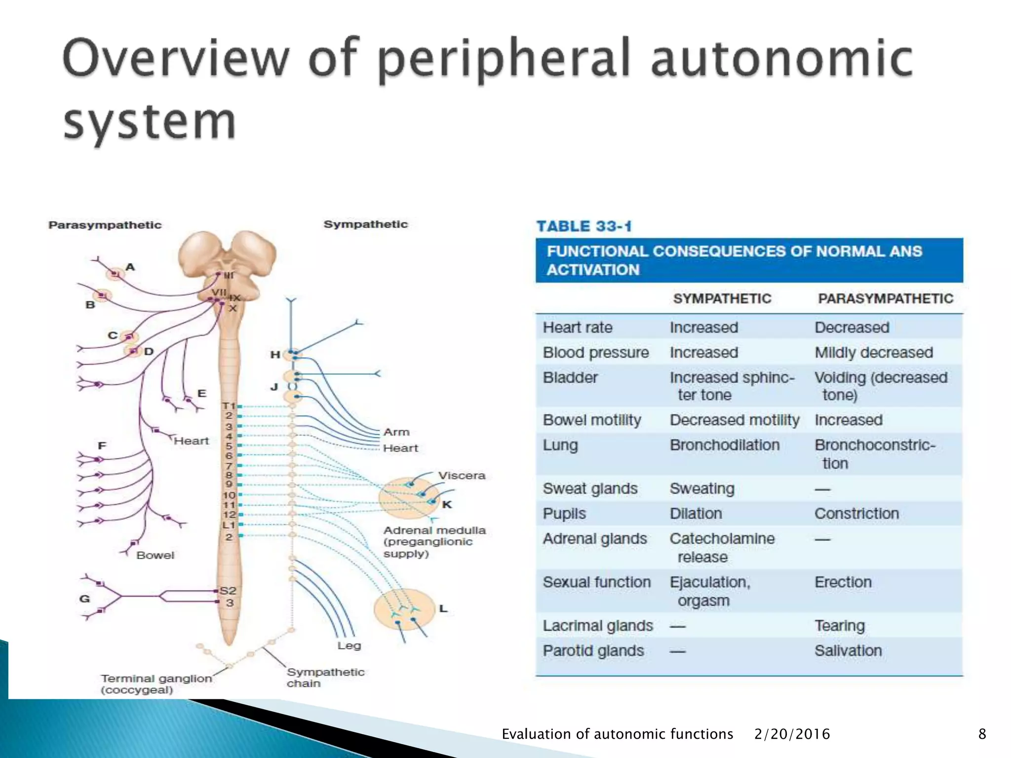 Evaluation of autonomic nervous system | PPTX