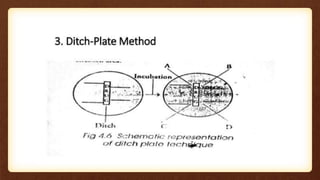 Evaluation of Bactericidal and Bacteriostatic | PPTX