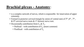 Evaluation of brchial plexus injury | PPT