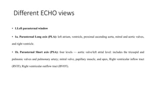 Evaluation of Cardiac function.pptx