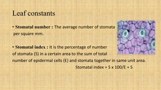Evaluation of crude drug | PPTX