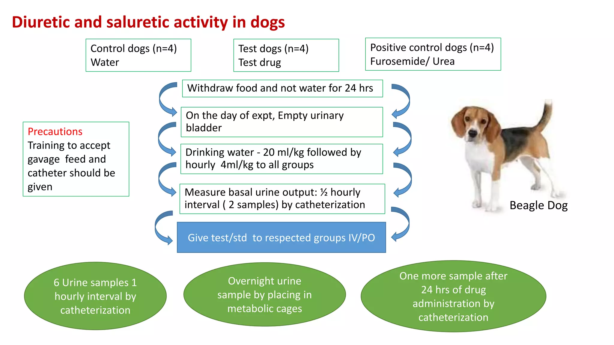 Evaluation of diuretics.pptx