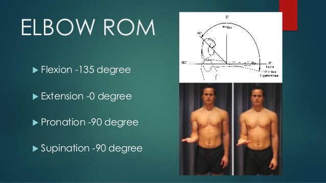 PS SESSION : ELBOW WRIST AND HAND EXAMINATION PART 1