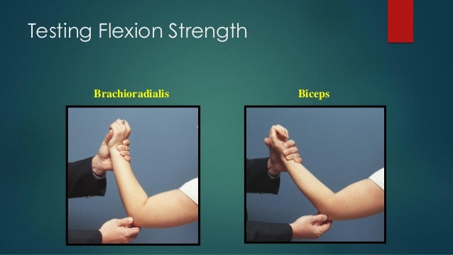 PS SESSION : ELBOW WRIST AND HAND EXAMINATION PART 1