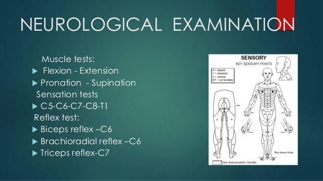 PS SESSION : ELBOW WRIST AND HAND EXAMINATION PART 1