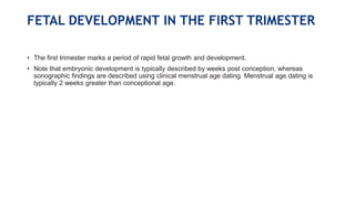 evaluation of fetal anatomy in 1st trimester.pptx