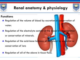 Evaluation of kidney function | PDF