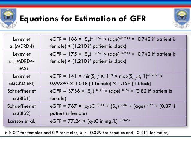 Evaluation of kidney function