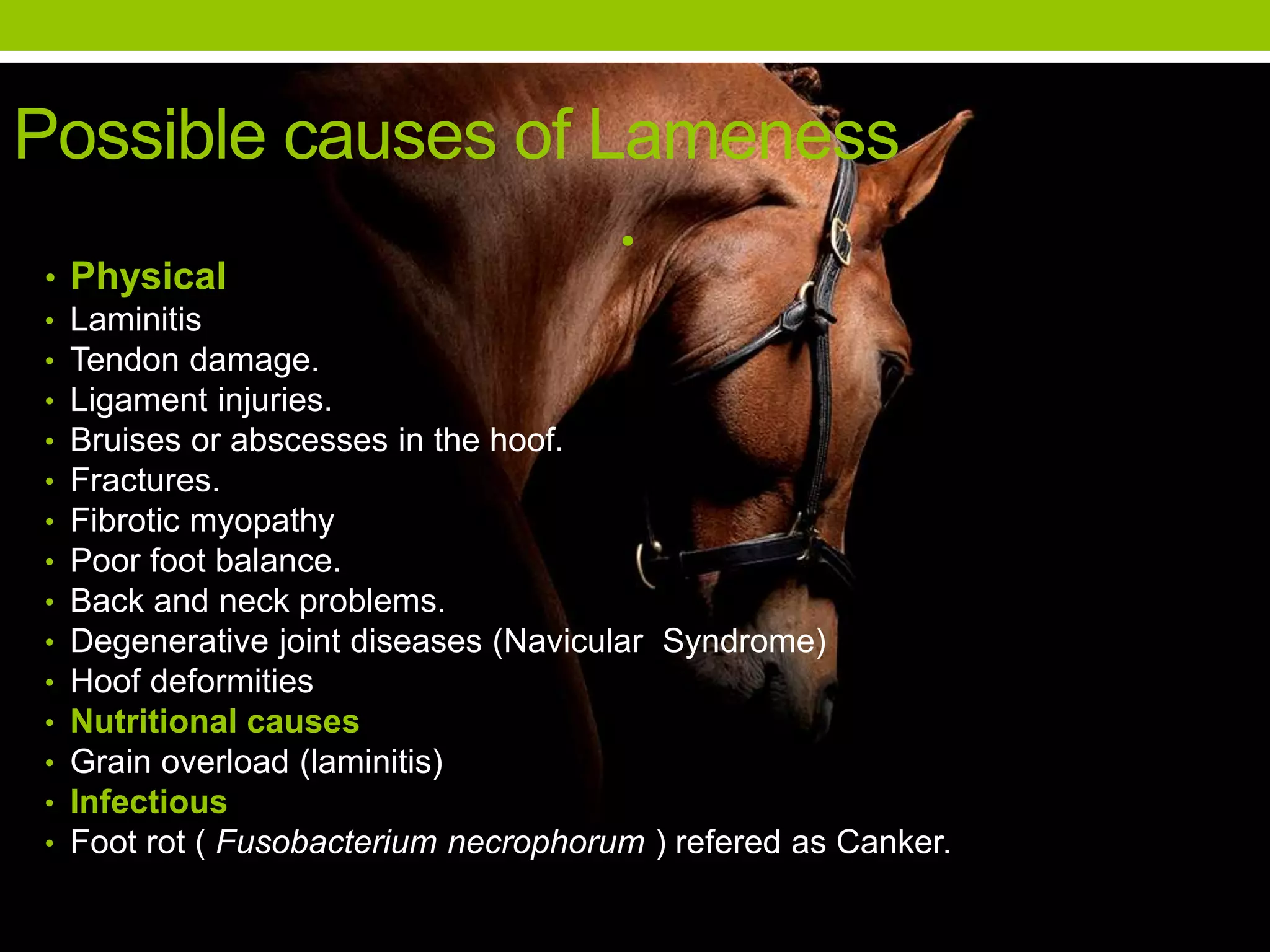 Evaluation of lameness in horses | PPTX