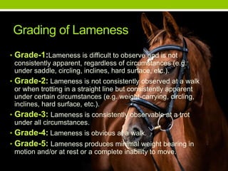 Evaluation of lameness in horses | PPTX