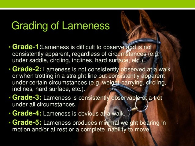 Evaluation of lameness in horses