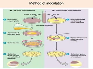 EVALUATION OF LIQUID DISINFECTANTS.pptx