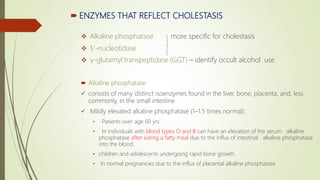 Evaluation of liver function and hyperbilirubinemias | PPTX