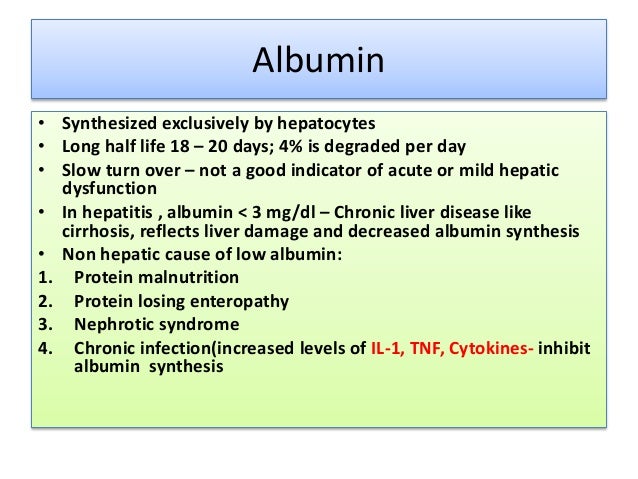 Albumen Causes Symptoms Treatment Albumen