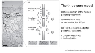 Evaluation of peritoneal membrane | PPT