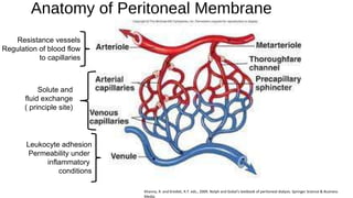 Evaluation of peritoneal membrane | PPT