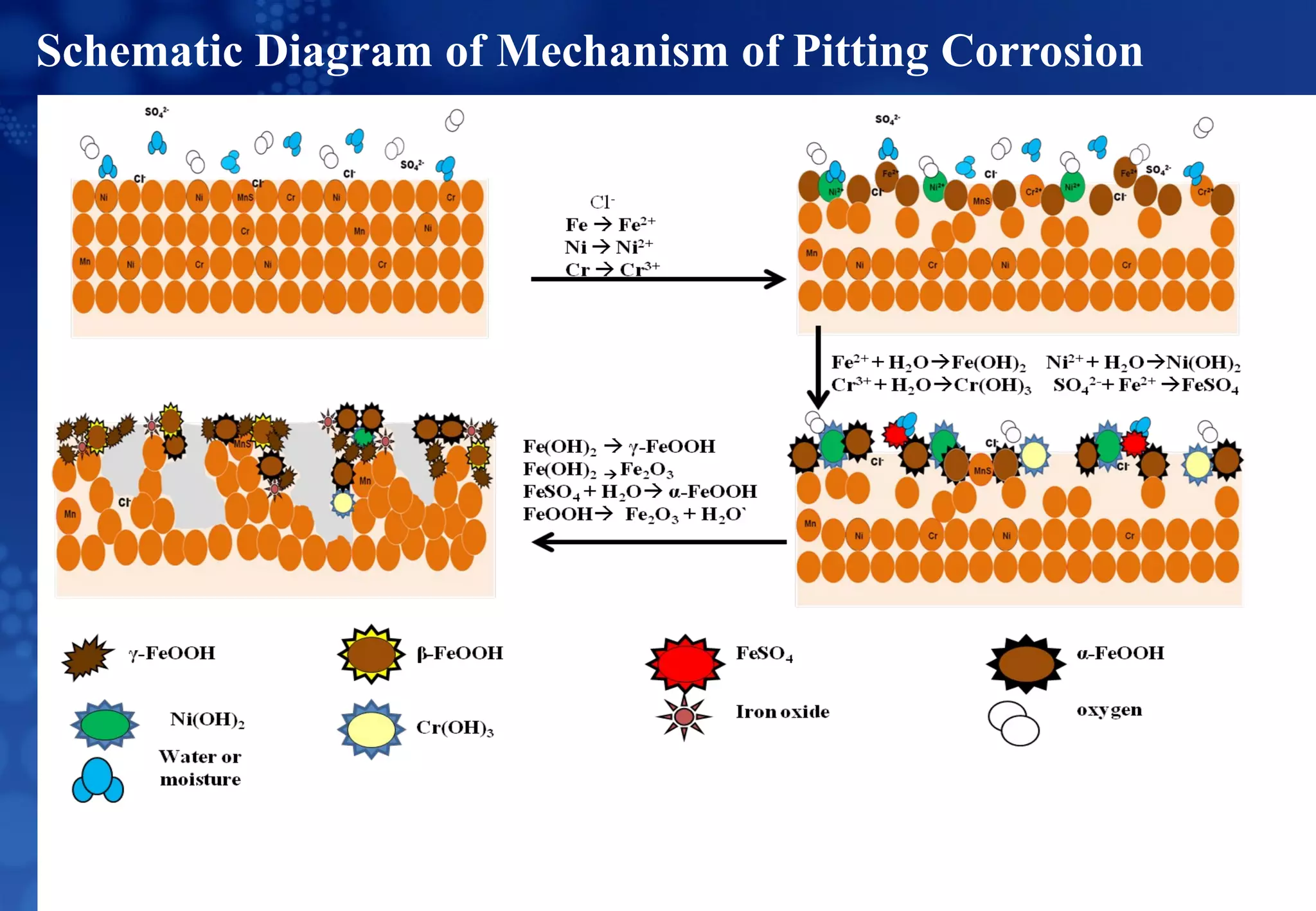Evaluation of pitting corrosion behavior of 316 l and 304 stainless ...